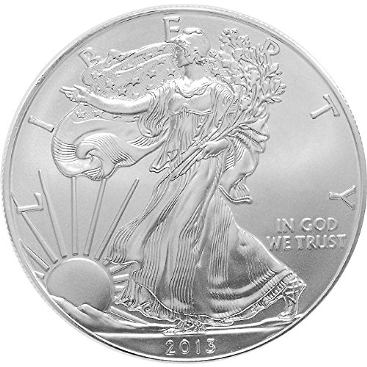 2013-1 Ounce American Silver Eagle Shipping .999 Fine Silver with our Certificate of Authenticity Dollar Uncirculated US Mint