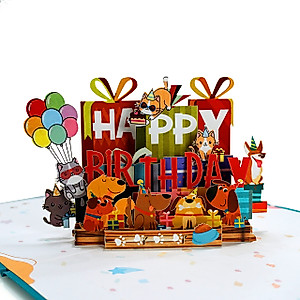 CUTPOPUP Birthday Card Pop Up, 3D Greeting Card (Animals Happy Birthday Text)