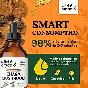 Chaga Mushroom Tincture - Immune Support Supplement w/Organic Chaga Mushrooms - Alcohol-Free Chaga Mushroom Drops for Immunity - Chaga Mushroom Supplement Liquid - Chaga Mushroom Extract - 4 oz