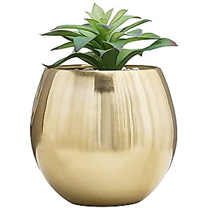 MyGift 6-Inch Brushed Brass Plated Metal Table Vase - Round Bowl-Shaped Succulent Planter Pot - Handcrafted in India