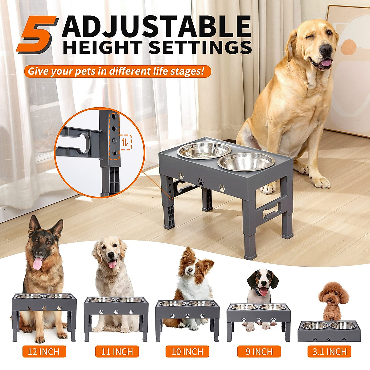 LAKIPETN Elevated Dog Bowls with 2 Stainless Steel Dog Food Bowls 5 Height Adjustable Raised Dog Bowl Stand Non-Slip Dog Feeder Adjusts to 3.1”, 9”, 10”, 11”, 12” for Medium Large Dogs - Gray