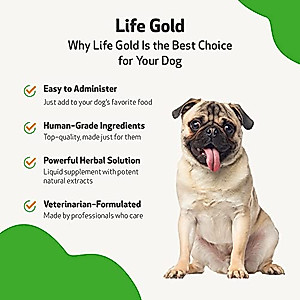 Pet Wellbeing Life Gold for Dogs - Vet-Formulated - Immune Support and Antioxidant Protection - Natural Herbal Supplement 2 oz (59 ml)