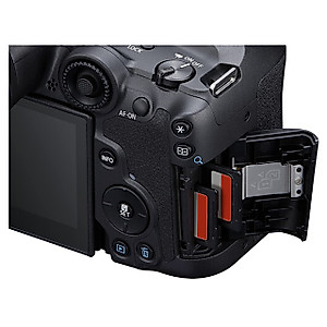 Canon EOS R7 Mirrorless Digital Camera with RF-S 18-150mm f/3.5-6.3 is STM Lens + 75-300mm F/4-5.6 III Lens + 128GB Memory + Case + Tripod + Filters (40pc Bundle) (Renewed)