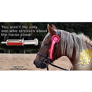 LMF Feeds Equine First Digest 911+ Digestive aid Paste for Horses