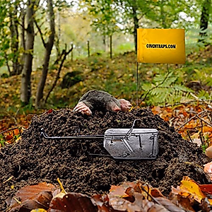 Cinch Deluxe Mole Trap Kit- Small (2 Packs) Heavy Duty, Reusable Rodent Trapping System, Weather Resistant, Outdoor Use - for Lawns, Gardens, Sports Fields, Ranches, Farm Lands, Yards and More