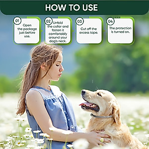 TriOak Flea Collar for Dogs: Advanced Dog Flea Collar - Tick Collar for Dogs - Flea and Tick Collar for Dogs - Dog Flea and Tick Collar - Dog Tick Collar, Color: Gray, 4 Pack