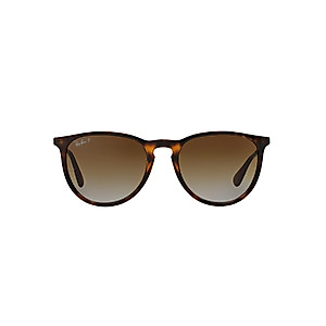 Ray-Ban RB4171 Erika Sunglasses + Vision Group Accessories Bundle (Light Havana/Grey Gradient Brown Polarized (710/T5),womens