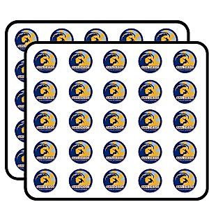 Round Surfer On Wave SAN Diego California (Surfing surf Beach) Sticker for Scrapbooking, Calendars, Arts, Kids DIY Crafts, Album, Bullet Journals 50 Pack