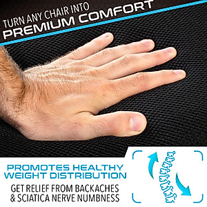 Franklin Sports Portable Travel Seat Cushion - Sideline Foam Seat Cushion for Stadium Seats, Car, Office Chair, Travel + More - Comfortable Padded Seat Cushion - 17" x 13" x 3.5"