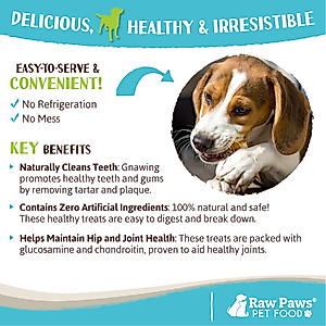 Raw Paws Freeze Dried Duck Feet for Dogs (10 Pack) - Made in USA Fully Digestible Dog Chew- Single Ingredient Dog Treats - Freeze Dried Duck Feet for Dogs - Duck Feet Dog Treat - Duck Treats for Dogs