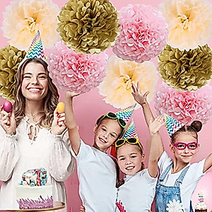 Pink and Gold Happy Birthday Decoration Set for Women Girls and Kids with Happy Birthday Banner, Hanging Tassels, Confetti Balloons, Flower Pompoms Party Decorations Supplies