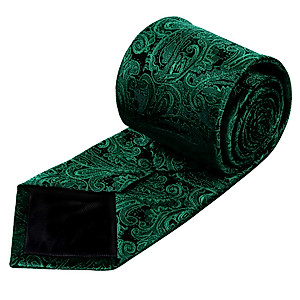 Alizeal Mens Paisley Tie Handkerchief Casual Floral Necktie Set