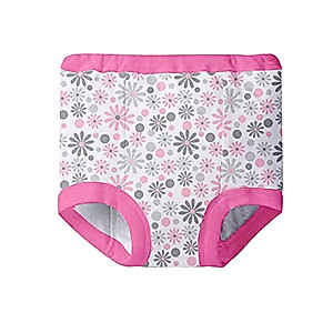 Anti Leakage Training Pants for Babies, Toddler Potty Training Pants,Toilet Training Pants (4 Pack, 18M)