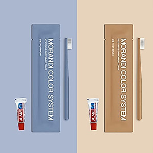 Alaisee Disposable Toothbrushes with Toothpaste, Travel Toothbrush Kit for Adults, in 7 Colours and Individually Packaged (25 Packs)