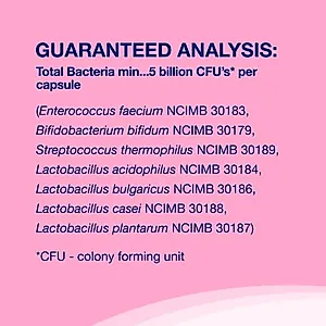 Nutramax Proviable Digestive Health Supplement Multi-Strain Probiotics and Prebiotics for Cats and Dogs - with 7 Strains of Bacteria, 80 Capsules