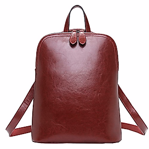HESHE Leather Backpack Designer Purse for Women Fashion Ladies Travel College Shoulder Bag (Wine-J039)