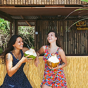 Fovths 2 Packs Luau Grass Table Skirt Fringe Straw Grass Skirt 108 x 30 Inch Hibiscus Hawaiian Table Skirts Rectangle Tropical Luau Party Decorations for Hawaiian Luau Decorations