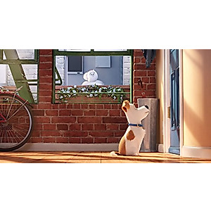 The Secret Life of Pets [DVD]