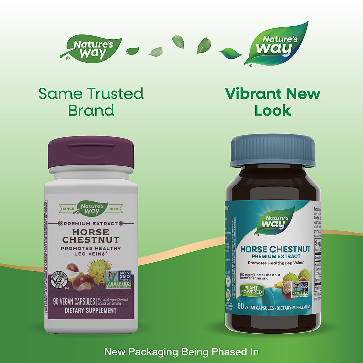 Nature's Way Standardized Horse Chestnut, Premium Extract, Promotes Healthy Leg Veins*, 250 mg per Serving, Vegan, 90 Capsules (Packaging May Vary)