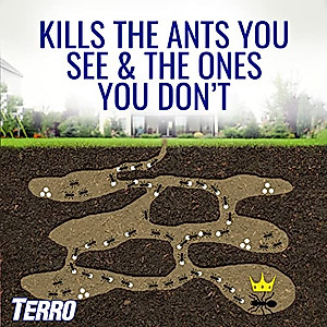 Terro T1812 Outdoor Liquid Ant Baits - 6 Pack