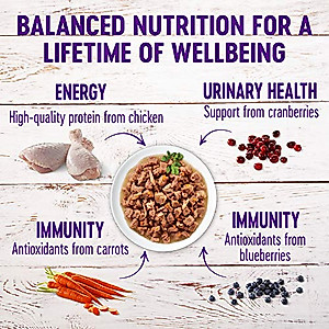 Wellness Healthy Indulgence Natural Grain Free Wet Cat Food, Morsels Chicken & Turkey, 3-Ounce Pouch (Pack of 24)