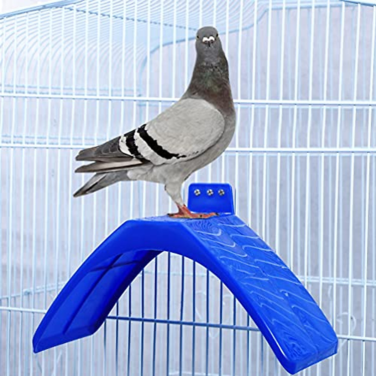 Balacoo 30Pcs Dove Rest Stand Lightweight Plastic Pigeon Perch Roost Bird Dwelling Stand Support Cage Accessories for Dove Pigeon and Other Birds Blue