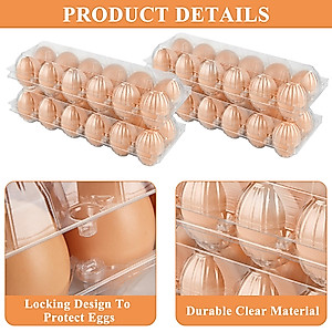 Oungy 50 Pack Plastic Egg Cartons Bulk 1 Dozen Clear Empty Egg Cartons Holds Up to 12 Eggs, Chicken Egg Cartons Reusable Egg Cartons Egg Tray for Family Chicken Farm Markets Display, 2x6 Grids
