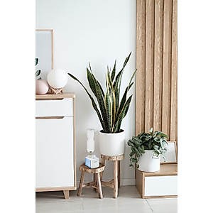 Comfort Zone Ultrasonic Turn Bottle into into Personal Portable Humidifier - 6 Hour Operation - Whisper Quiet, Travel, white (CZHD20)