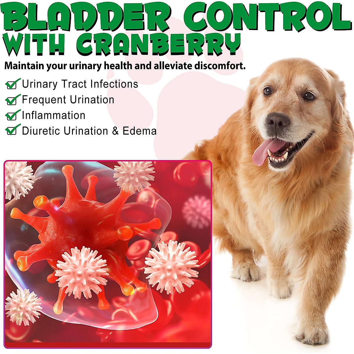 Urinary Tract Infection Treatment for Dogs, Natural Herb Supplement UTI Care Drops, Cranberry Kidney Stones Bladder Support, Keep Pet Dogs Renal Healthier, Bacon Flavor, 60ml