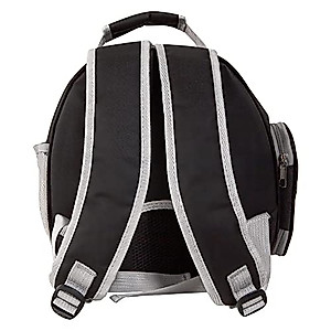 XZKING Guinea Pig Carrier Cage, Clear Breathable Small Animal Carrier for Bird Bunny Bearded Dragon Rat Hamster