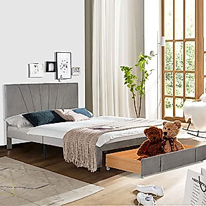 PHOYAL Storage Bed, Queen Size Storage Bed Frame Velvet Upholstered Platform with a Big Drawer Comfortable Sleep 62.99 24.80 5.12 inche Frame is Made of Solid MDF and Particle Board, Grey
