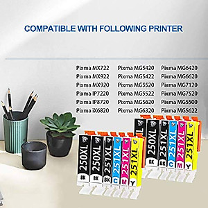 Wolfgray 12 Packs Compatible Ink Cartridge PGI-250XL CLI-251XL 250xl 251xl (4Large BK+2BK+2C+2M+2Y) Works for PIXMA MX922 MG5522 MG5620 MG6620 MG6600 MX920 iX6820 iP7220 Printer
