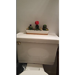 11inch Long Rectangle White Ceramic Succulent Planter Pots/Mini Flower Plant Containers with Bamboo Saucers. Product Size:11x2.36x1.77inch,not Include The Plant. (Long Rectangle)