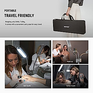 NEEWER Esthetician Light with Phone Holder & Travel Bag Kit, Support 2.4G/PC/MAC Control & Separate Control of 2 LED Light Heads, CRI98+ Bi Color Stepless Dimmable Tattoo Lighting Lash Lamp, BH40B