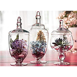 Palais Glassware Clear Glass Apothecary Jars - Set of 3 - Wedding Candy Buffet Containers (Small, Clear)