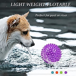 Ousiya 4.5”Dog Balls Squeaky Dogs Toys for Medium Large Dog Toys for Aggressive Chewers Spiky Ball Big Outdoor Chew Dogs Toys