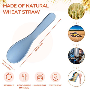 HMDZMR 8 Pcs Wheat Straw Spoon set, Unbreakable Soup Spoons, 6 Inches Ramen Spoons Portable Small Spoons Cereal Dinner Spoons for Kid and Adult (8 colors)