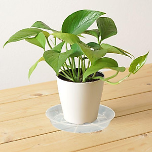 Afrine 6 Pack Plant Saucer Drip Tray, 4 5 6 8 9 10 12 14 16 18 inch, Heavy Sturdy Plastic Planter Flower Pot Saucers for Indoor Outdoor Garden, Plant Water Drip Trays for pots Base (6", Clear)