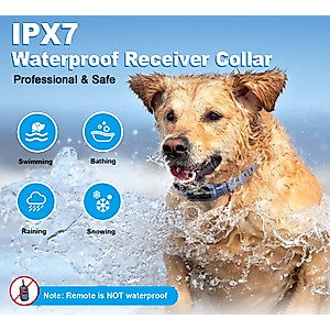 Bousnic Dog Shock Collar with Remote - ¾ Mile Electronic Training Collar for (15-140lbs) Medium Large Dogs, Waterproof Rechargeable Dog E Collar with 3 Modes, Beep, Vibration, Safe Shock(1-16 Levels)