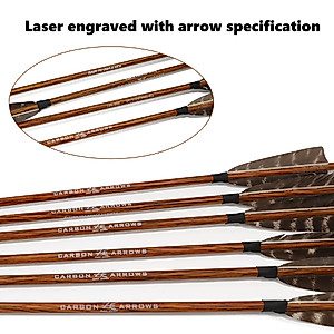 Archery Hunting Carbon Fiber Arrows, MS Carbon Fiber Arrow Spine 400 with Replacement Screw-in 100 Grain Points and 4 Inch Real Feather for Compound Bow Recurve and Long Bow 6 Pack (31inch)