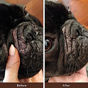 Natural Dog Company Wrinkle Balm, 1 oz. Tin, Dog lotion for dry itchy skin, Cleans Wrinkles, Yeast Infection treatment for dogs, Plant based, Frenchie Dog Accessories, Made in USA