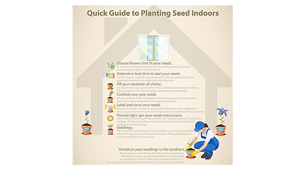 Outsidepride Himalayan Violet Poppy Seeds | Perennial Blooms