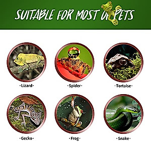 FIVEAGE 100W Sun Basking Spot Lamp UVA Glass Reptile Heat Bulb Soft White Light for Reptile & Amphibian - 2 Pack