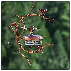 Hummingbird Feeder Pole, Courtyard Bird Feeder, Red Berries Hummingbird Feeder with Hole Birds Feeding Transparent Pipe, Courtyard Bird Feeder for Patio, Garden, Yard
