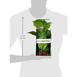 Fluval Anubias Plant for Aquarium, 12-Inch