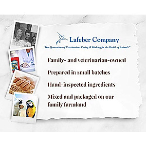LAFEBER'S Classic Avi-Cakes Pet Bird Food, Made with Non-GMO and Human-Grade Ingredients, for Macaws & Cockatoos, 1 lb