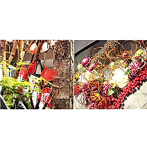 Bonsai Wire Set,Copper Bonsai Training Wire for Bonsai Tree Kit 1.0mm,1.5mm,2.0mm,2.5mm, 3.0mm (Black)