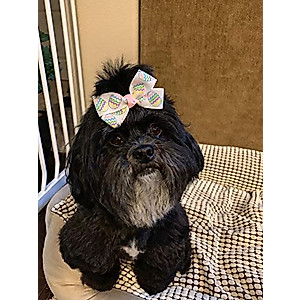 PET SHOW 1000pcs 100G/Pack Bulk Dog Rubber Bands for Hair Grooming DIY Hair Bows Top Knots for Puppies Cats Farm Animals Small Medium Large Dogs