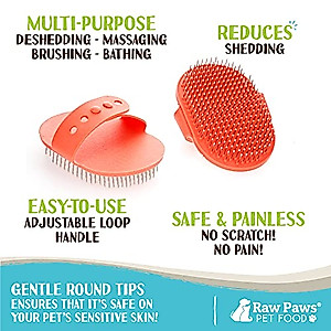Raw Paws Pet Hand-Held Rubber Tipped Pin Brush for Dogs & Cats - Grooming Brush for Dogs Shedding - Dog Brushes for Grooming Large Dogs & Small Dogs - Bath Brush for Dogs with Short Hair & Long Hair