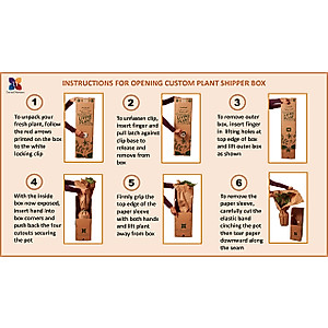 United Nursery Monstera Deliciosa, Split Leaf Philodendron, Swiss Cheese Plant Live Indoor Outdoor House Plant in 9.25 inch Grower Pot, Fresh from Our Florida Farm